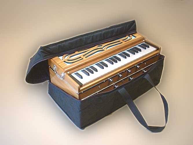 Musical Instrument Shop In Jaipur at Alexander Kitchen blog